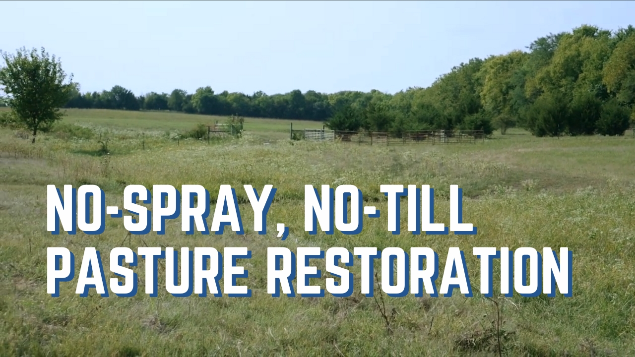 Pasture Management: Evaluating Pastures – Videos – Mother Earth News
